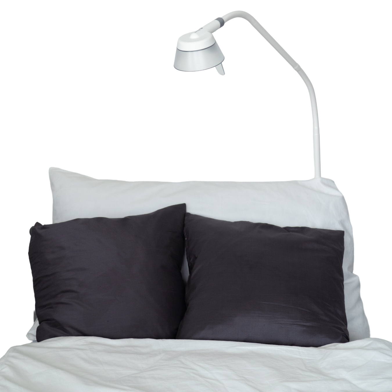 Amalia 2 Derungs Licht Ag